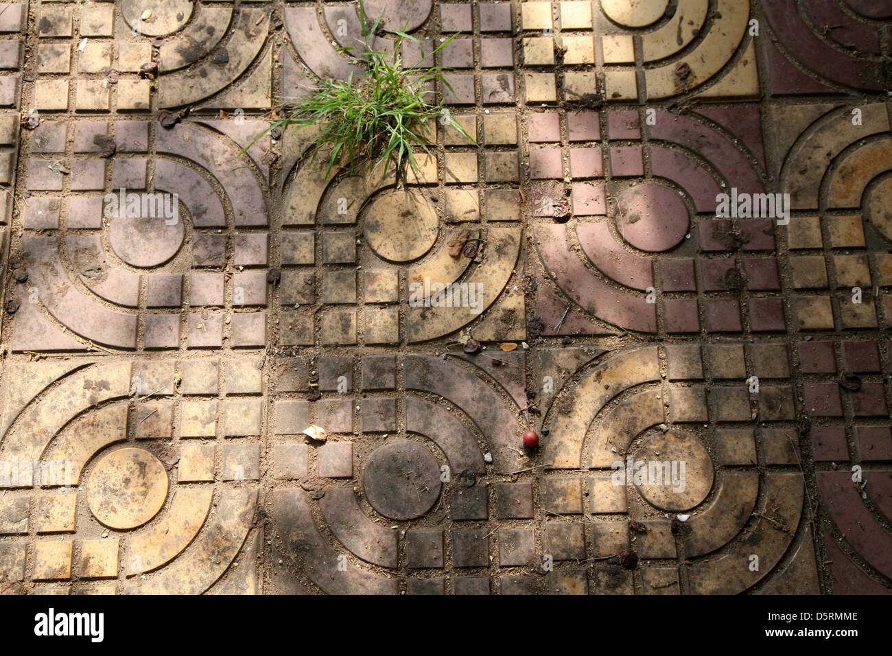 Stone floor hi-res stock photography and images - Alamy