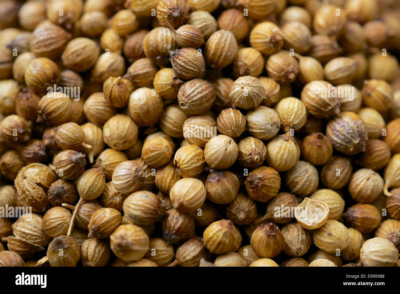 Full frame close up or Coriander seeds Stock Photo - Alamy