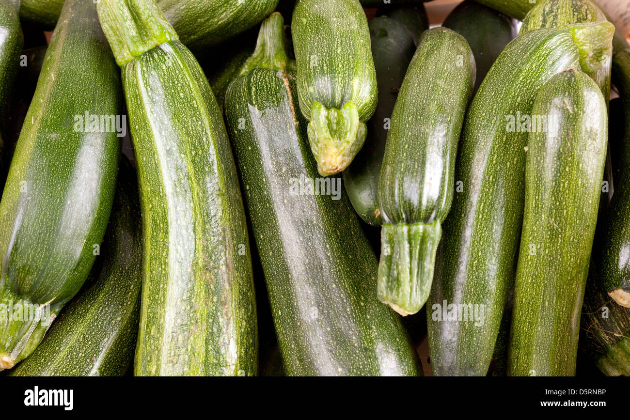 Freshly picked zucchini wallpaper Stock Photo - Alamy