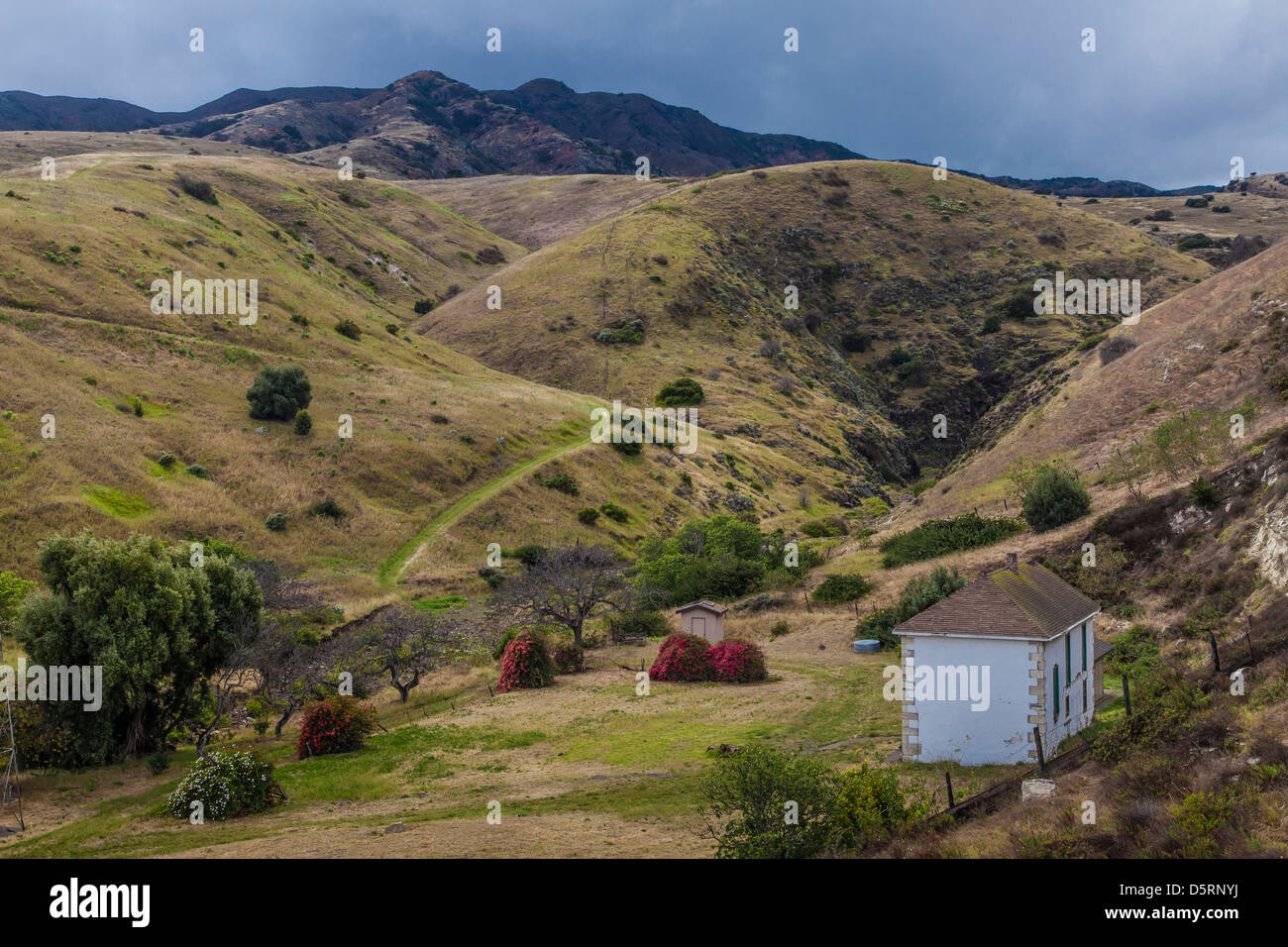 Ranch house tucked into the valley at Smugglers Cove on Santa Cruz ...