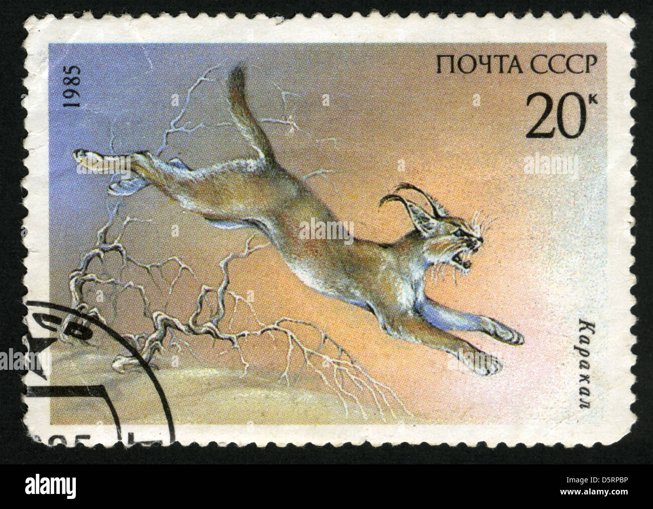 USSR,post mark,stamp,animals,animals illustrations,fauna,mammals ...