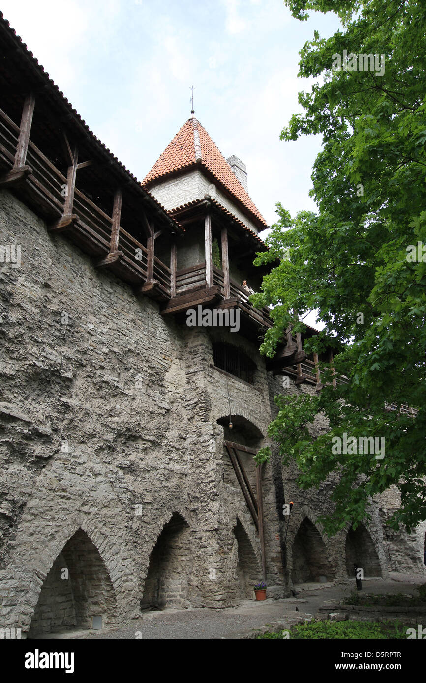Medieval ramparts tallinn hi-res stock photography and images - Alamy