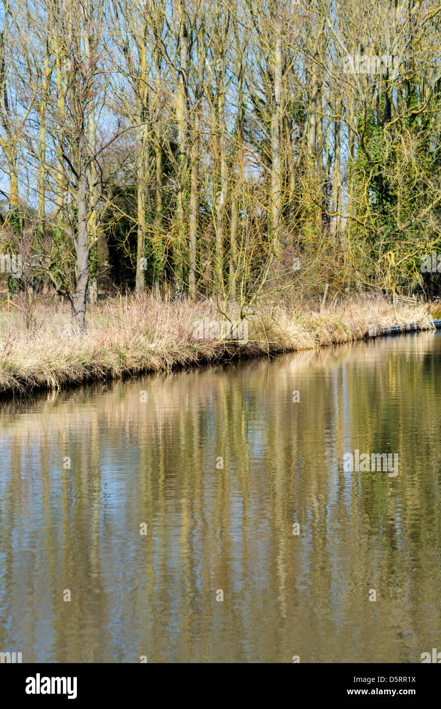The banks of a river, with bushes and trees Stock Photo - Alamy