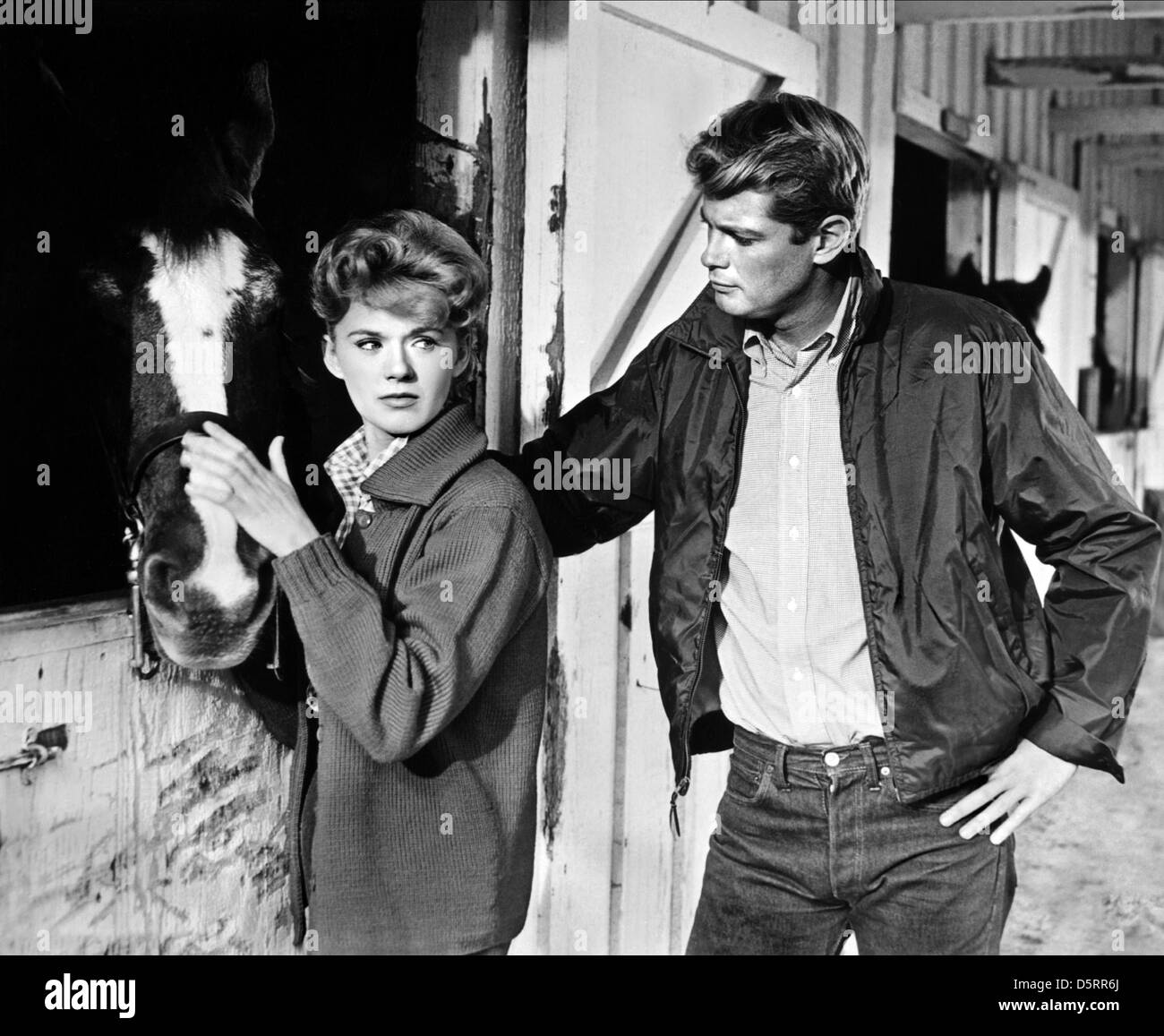 Connie Stevens Troy Donahue Susan Black and White Stock Photos & Images ...