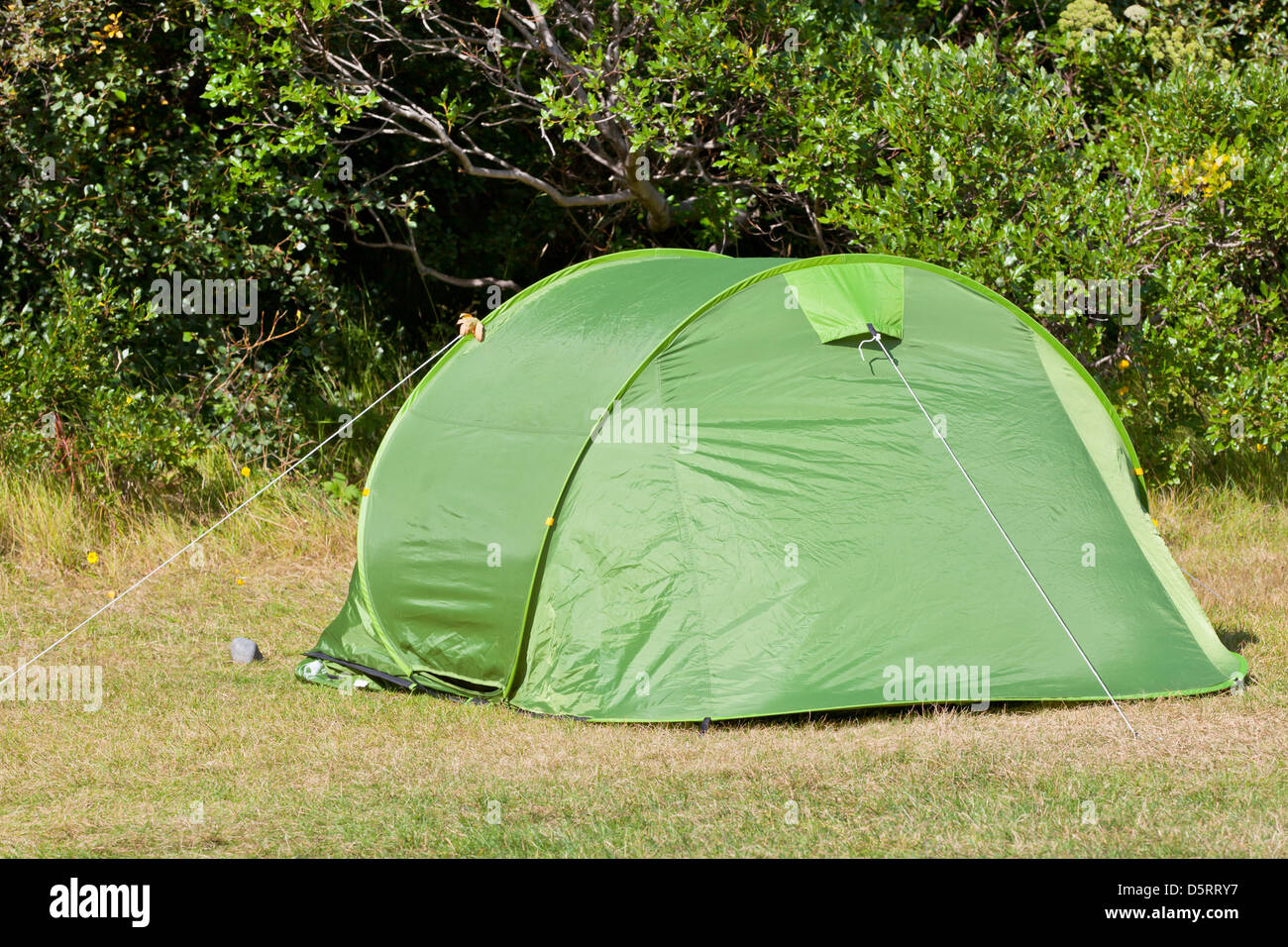 Outdoor Green Tourist Tent at Field. Horizontal shot Stock Photo - Alamy