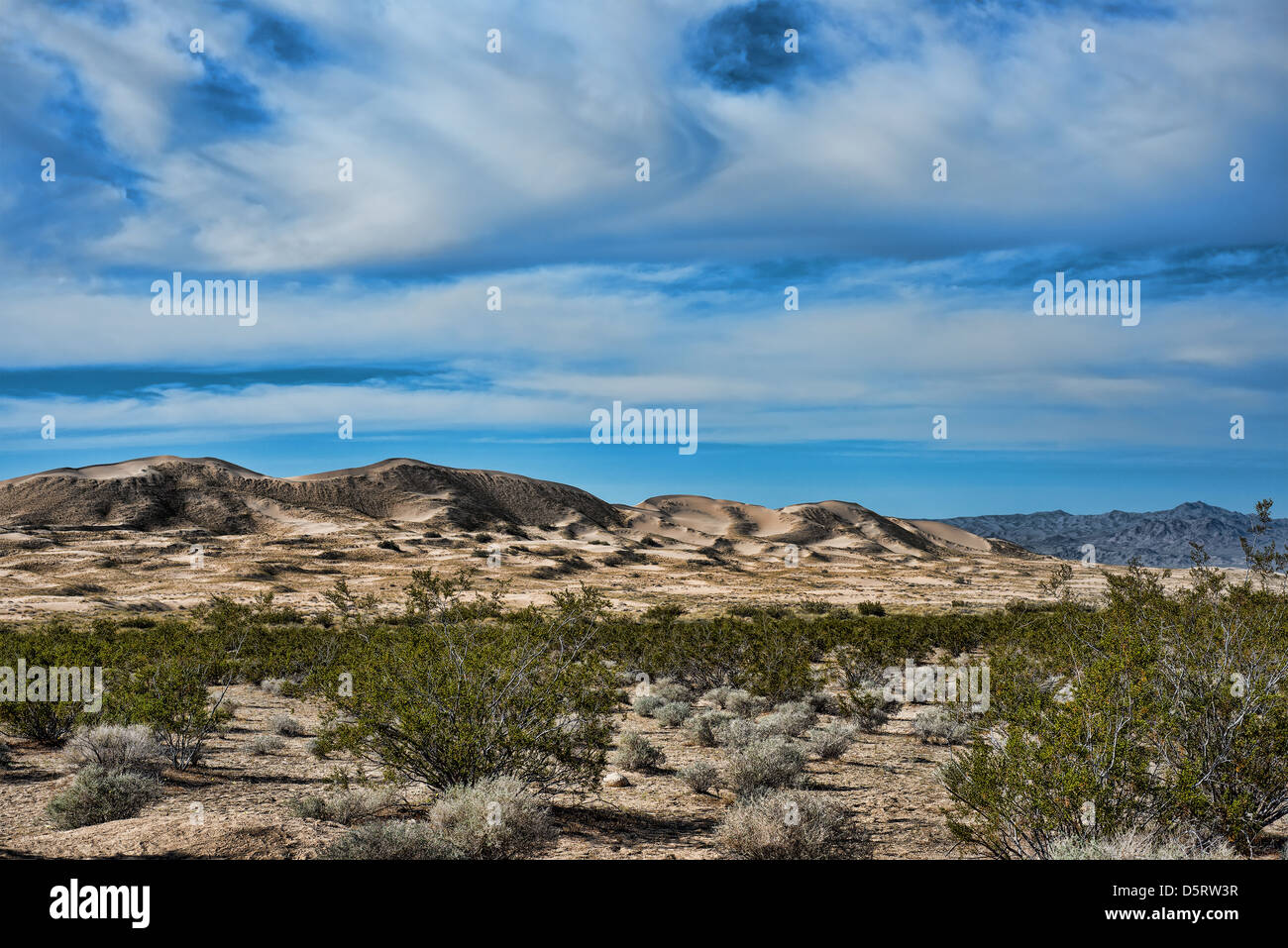 Kelso sand dunes in Mojave National monument with a beautiful dramatic ...