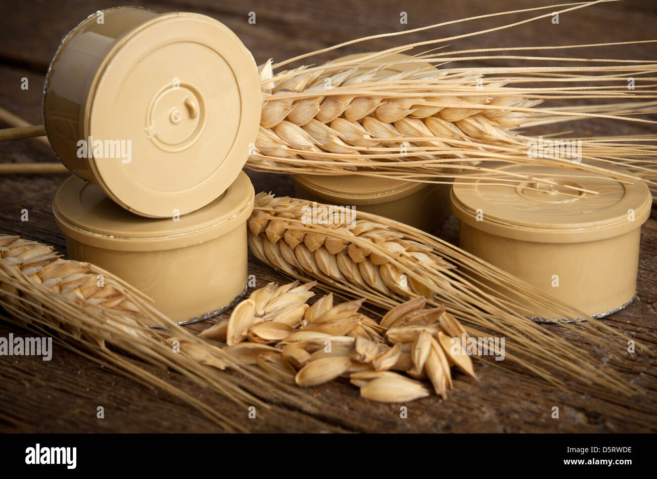 Pods of barley Stock Photo - Alamy