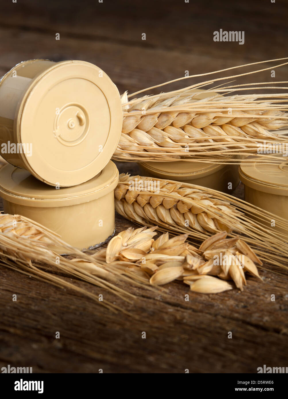 Pods of barley Stock Photo - Alamy