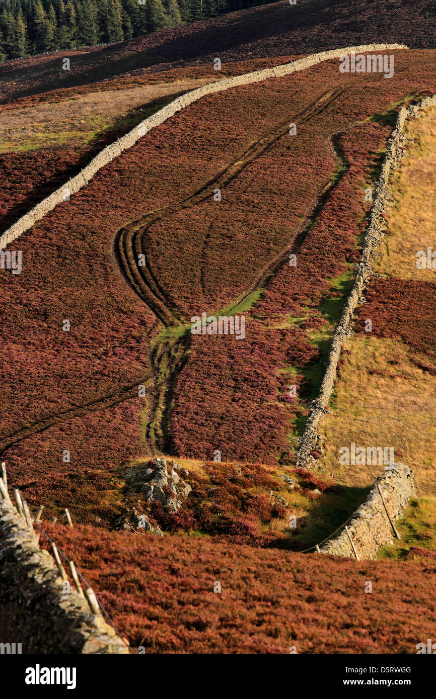 Drovers path hi-res stock photography and images - Alamy