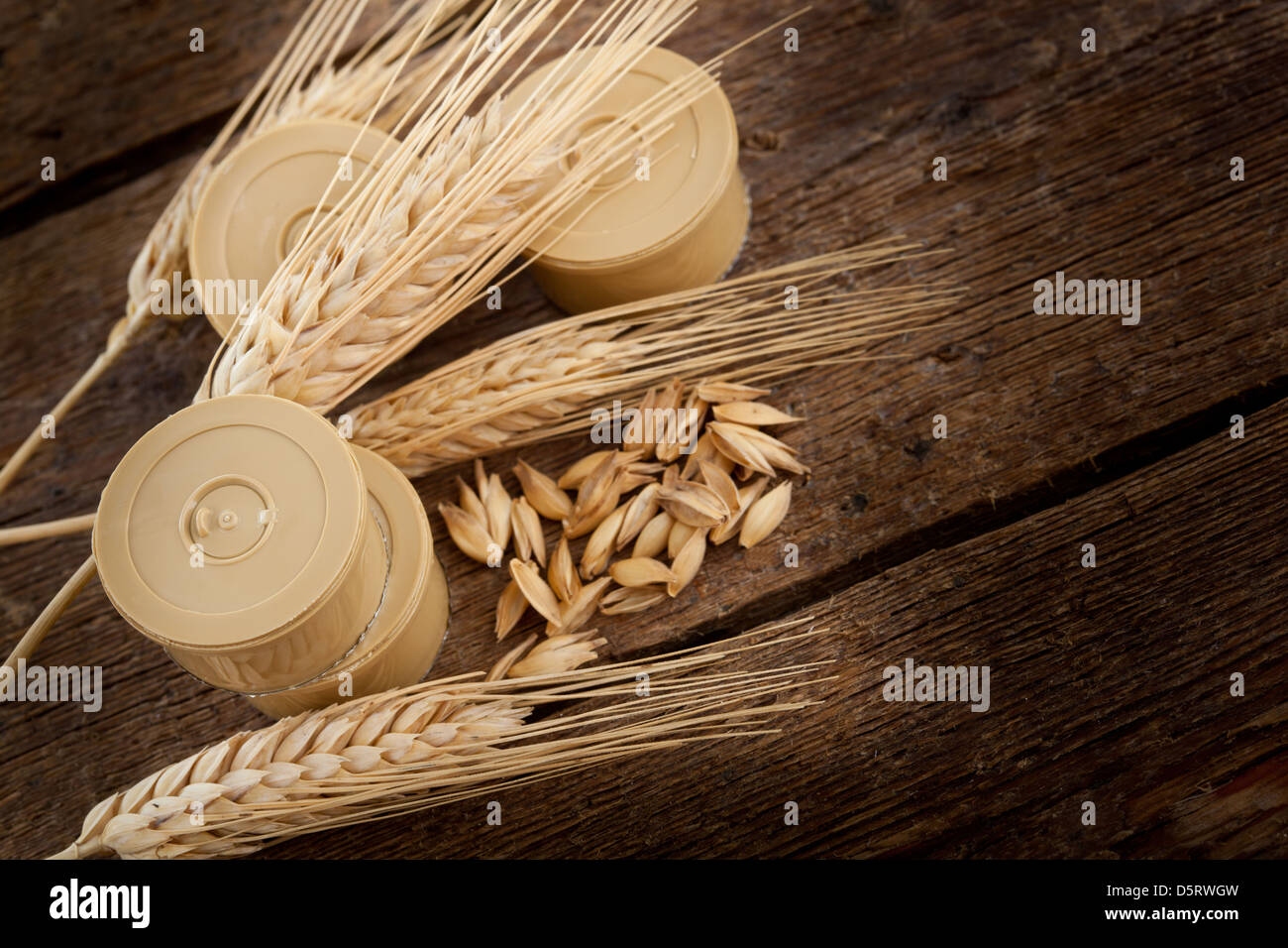Pods of barley Stock Photo - Alamy