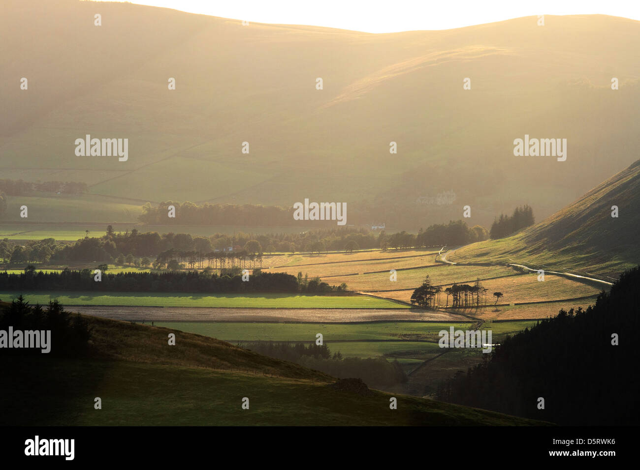 Manor Valley Scotland High Resolution Stock Photography and Images - Alamy