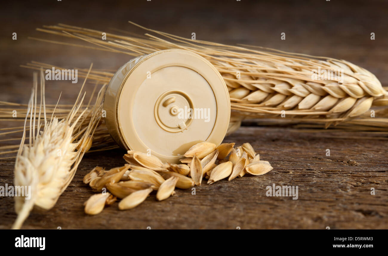 Pods of barley Stock Photo - Alamy