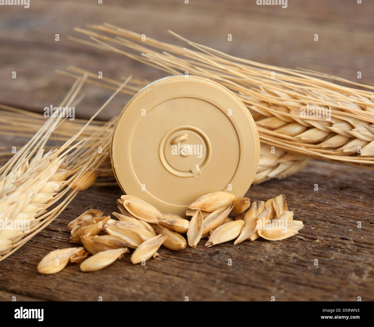 Pods of barley Stock Photo - Alamy