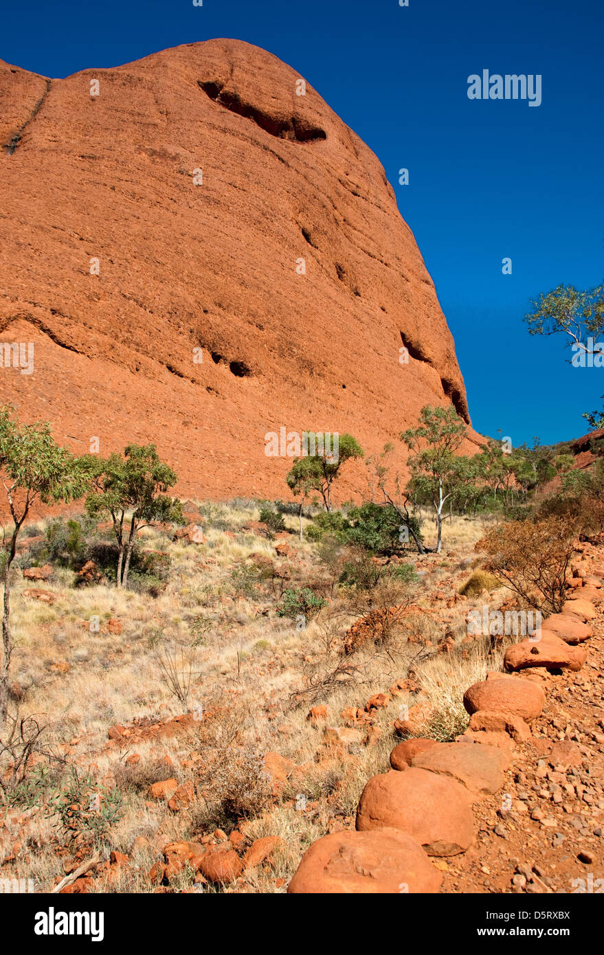 Bright and Sunny Day in the Australian Outback Stock Photo - Alamy