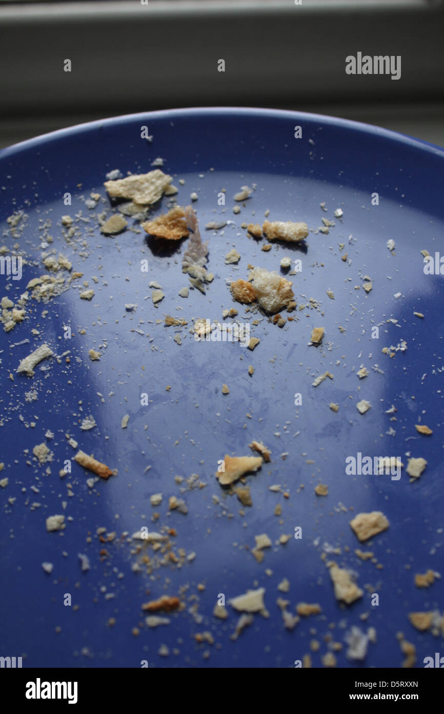 lots of bread crumbs on blue plate by kitchen window Stock Photo - Alamy