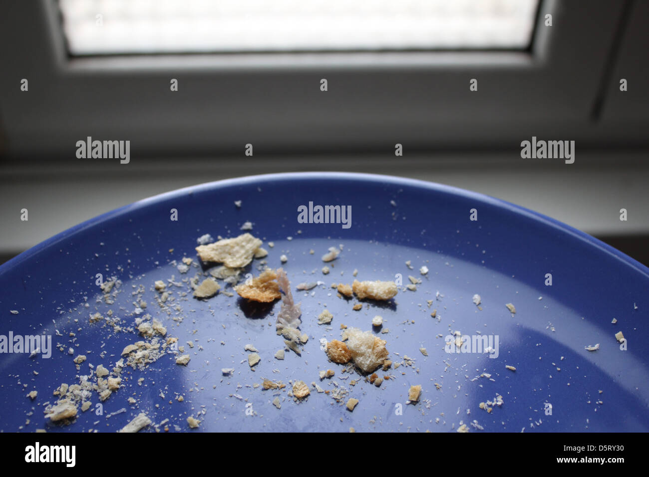 lots of bread crumbs on blue plate by kitchen window Stock Photo - Alamy