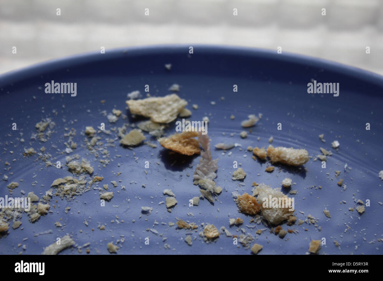lots of bread crumbs on blue plate by kitchen window Stock Photo - Alamy