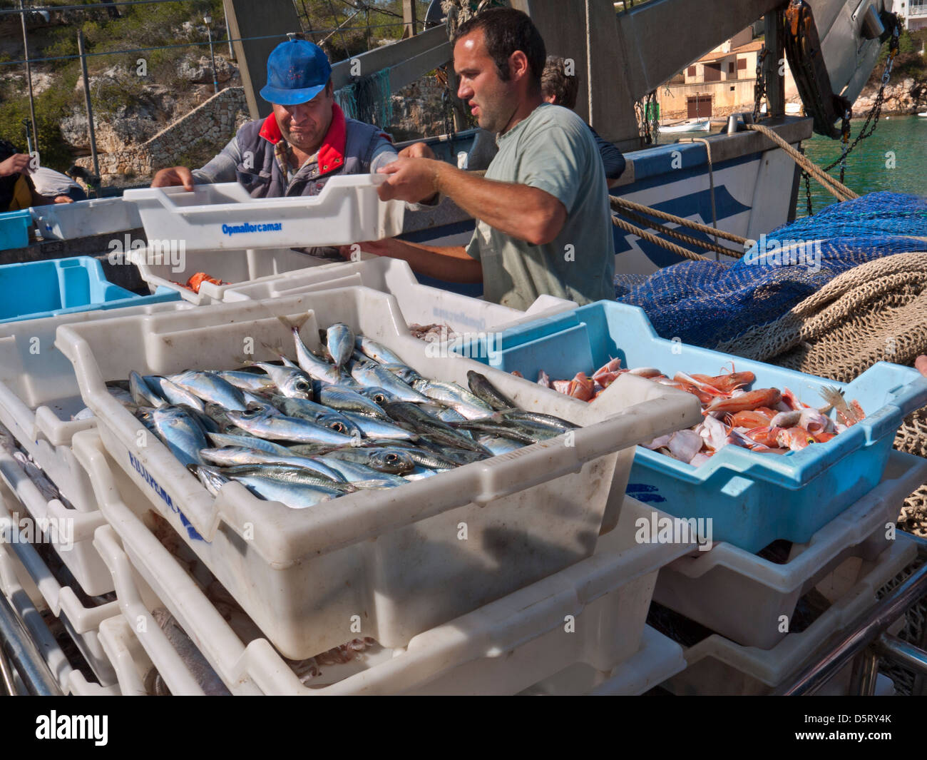 Mallorca fishing catch quayside with Fishermen sorting packing and ...