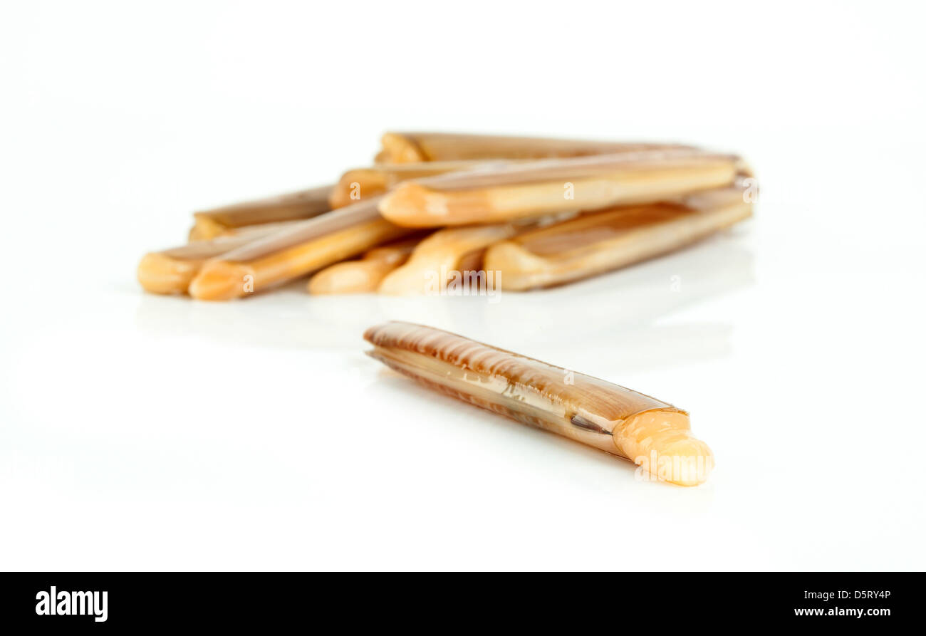 Razor fish hi-res stock photography and images - Alamy