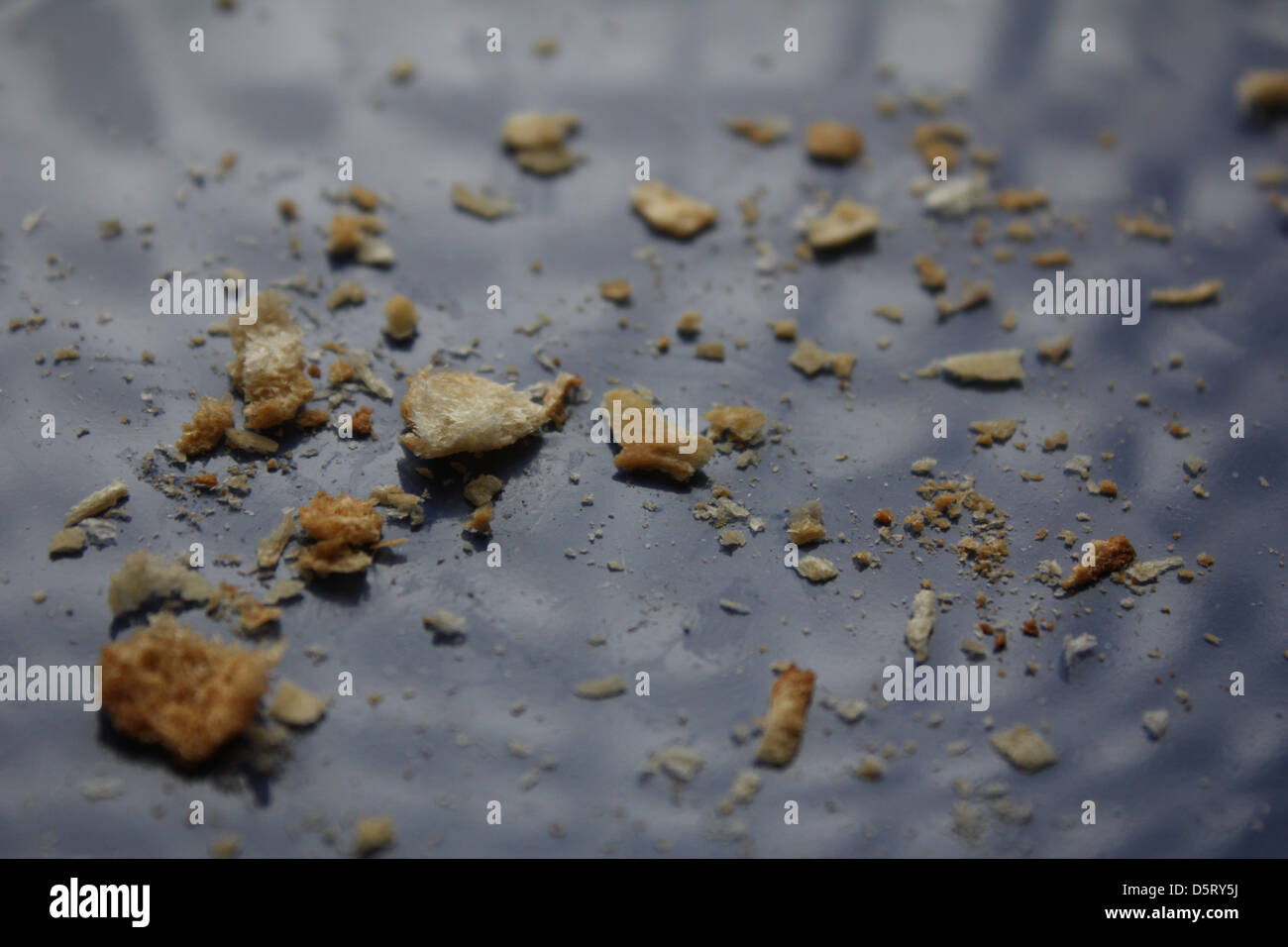 lots of bread crumbs on blue plate by kitchen window Stock Photo - Alamy