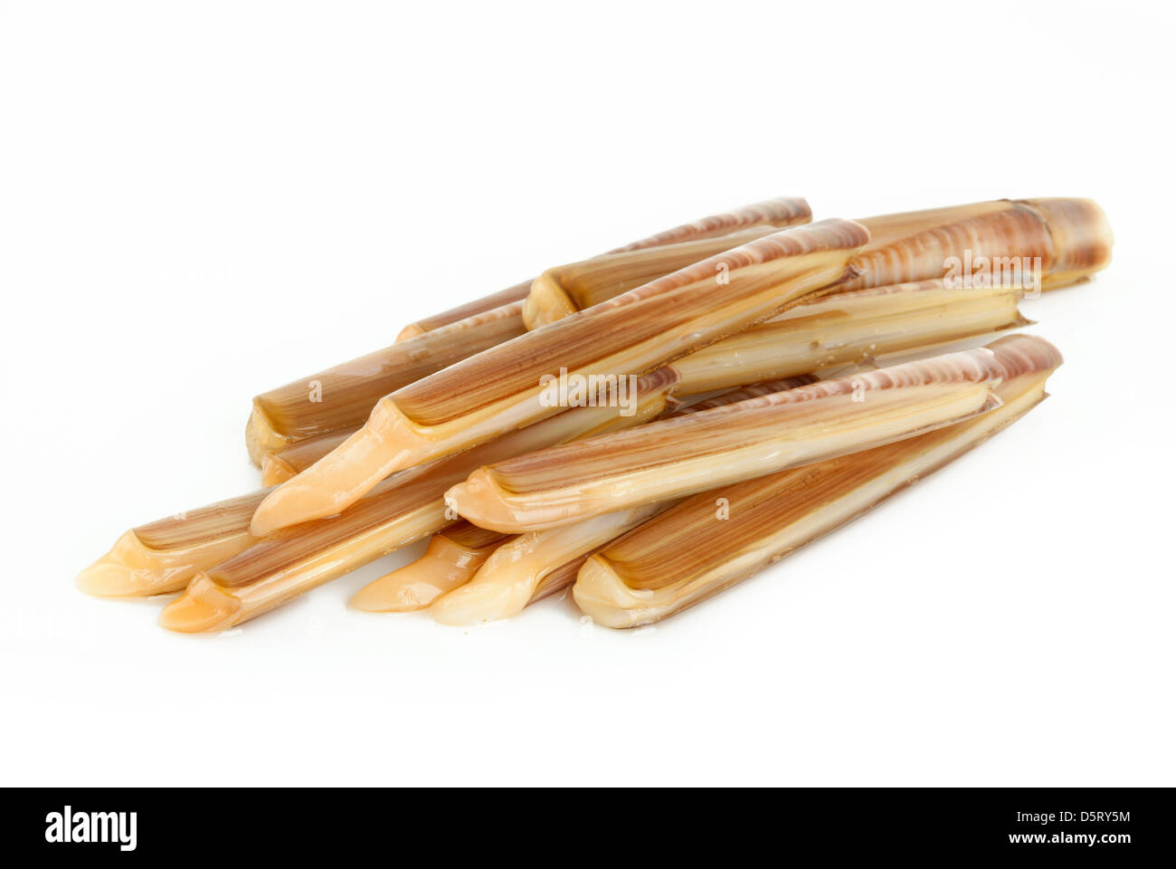 Ensis siliqua on white background Stock Photo - Alamy