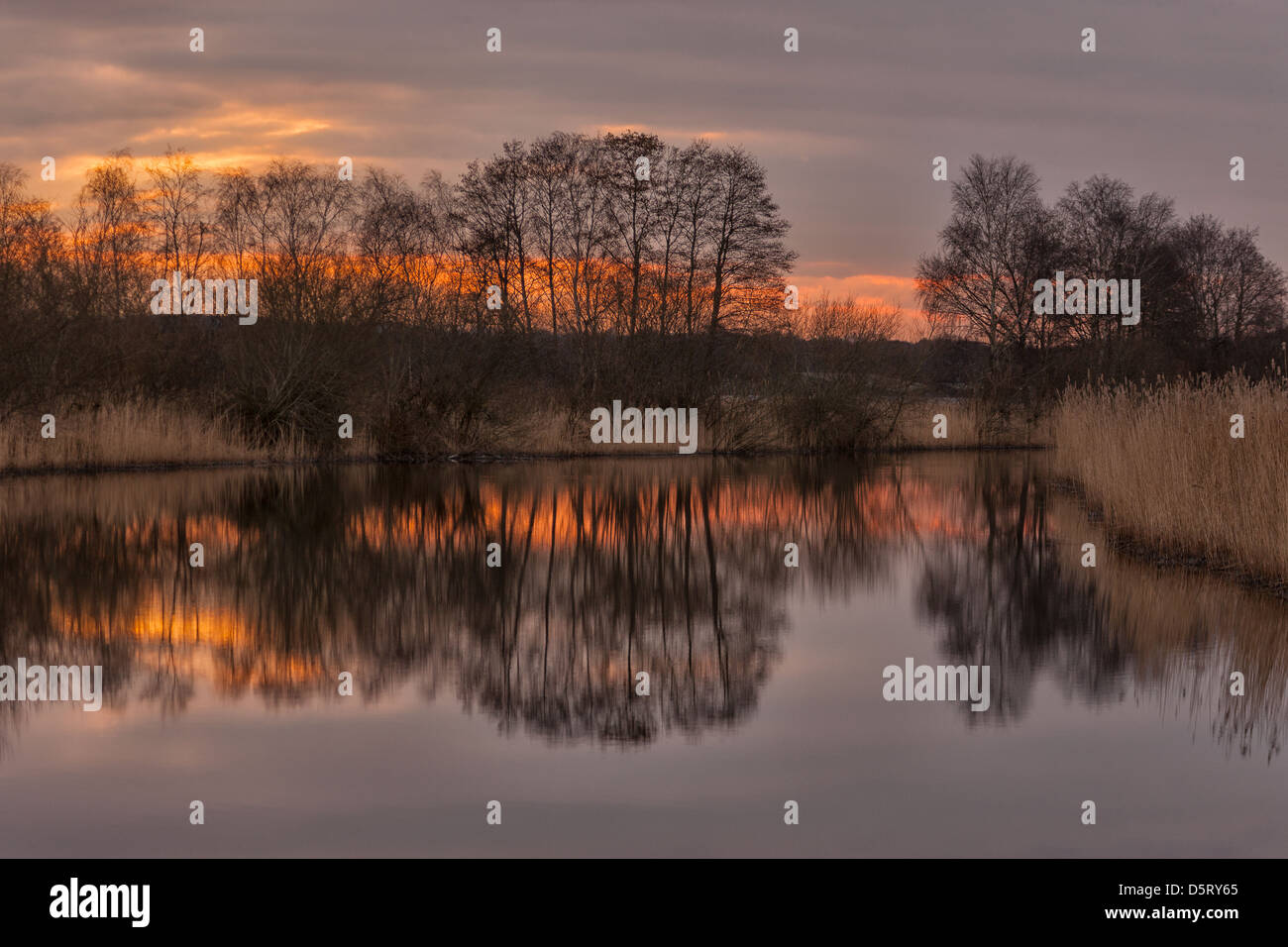 Ham wall hi-res stock photography and images - Alamy