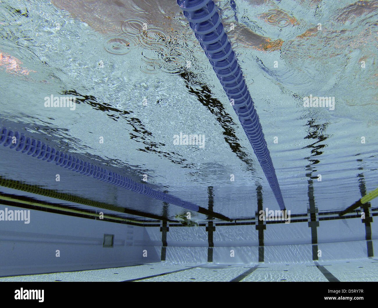 Olympic swimmer underwater hi-res stock photography and images - Alamy