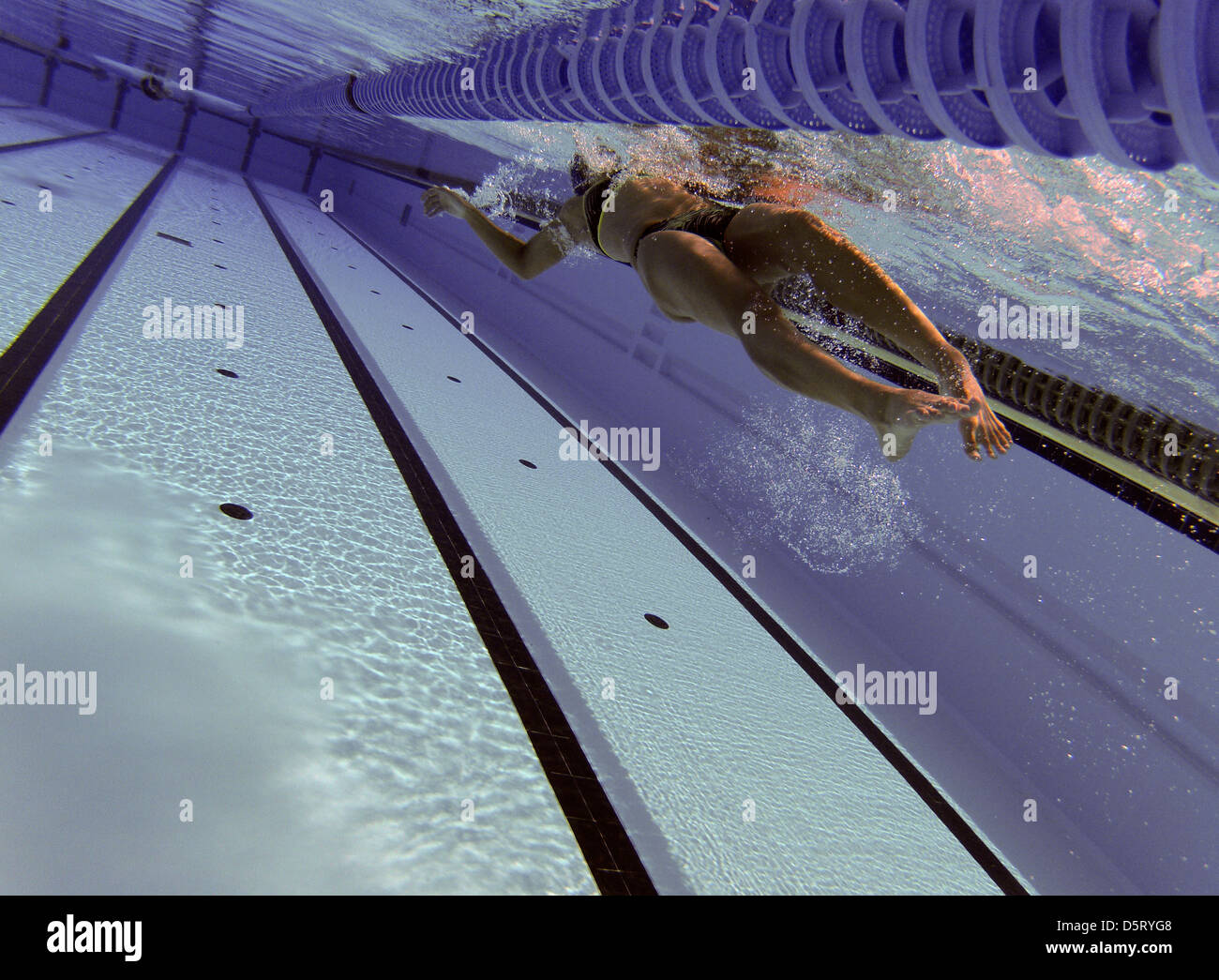 Paralympic swimmer dive hi-res stock photography and images - Alamy