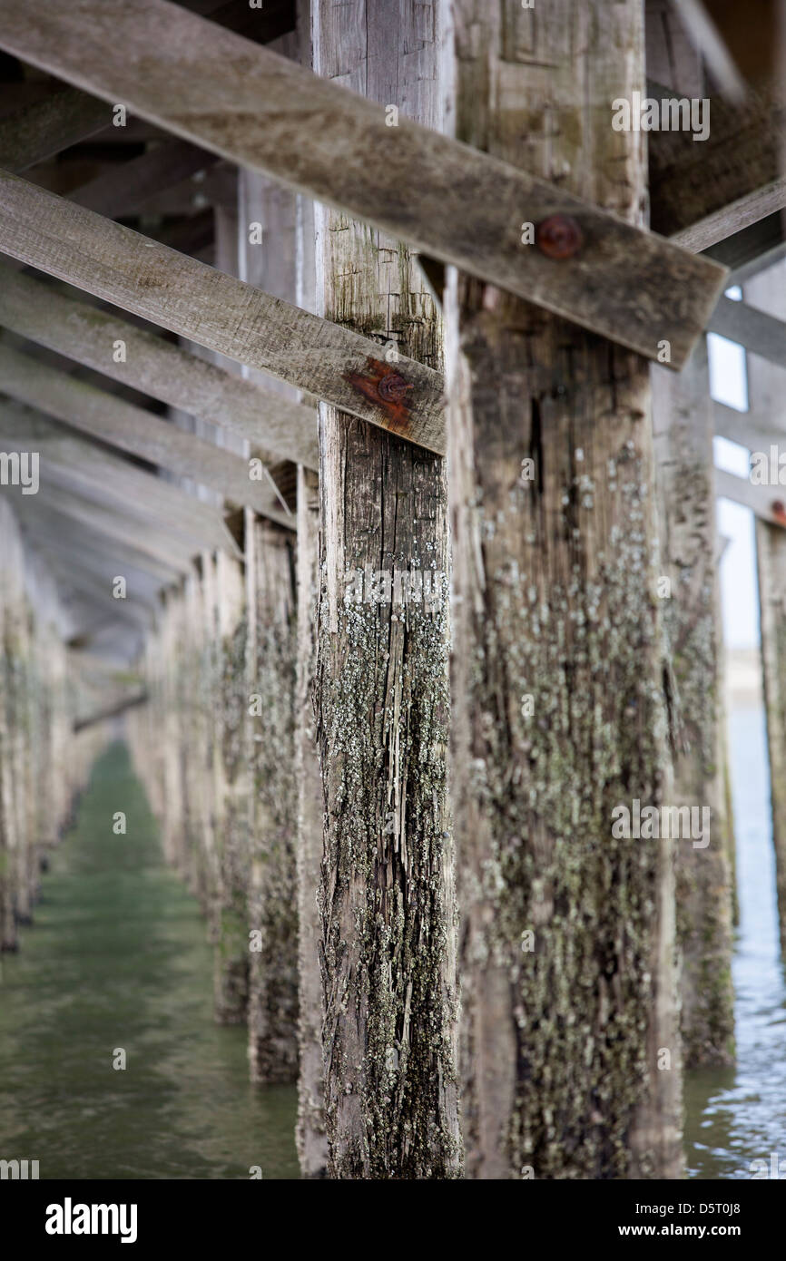 Details of wooden pillars at Powder Point Duxbury Bridge ...