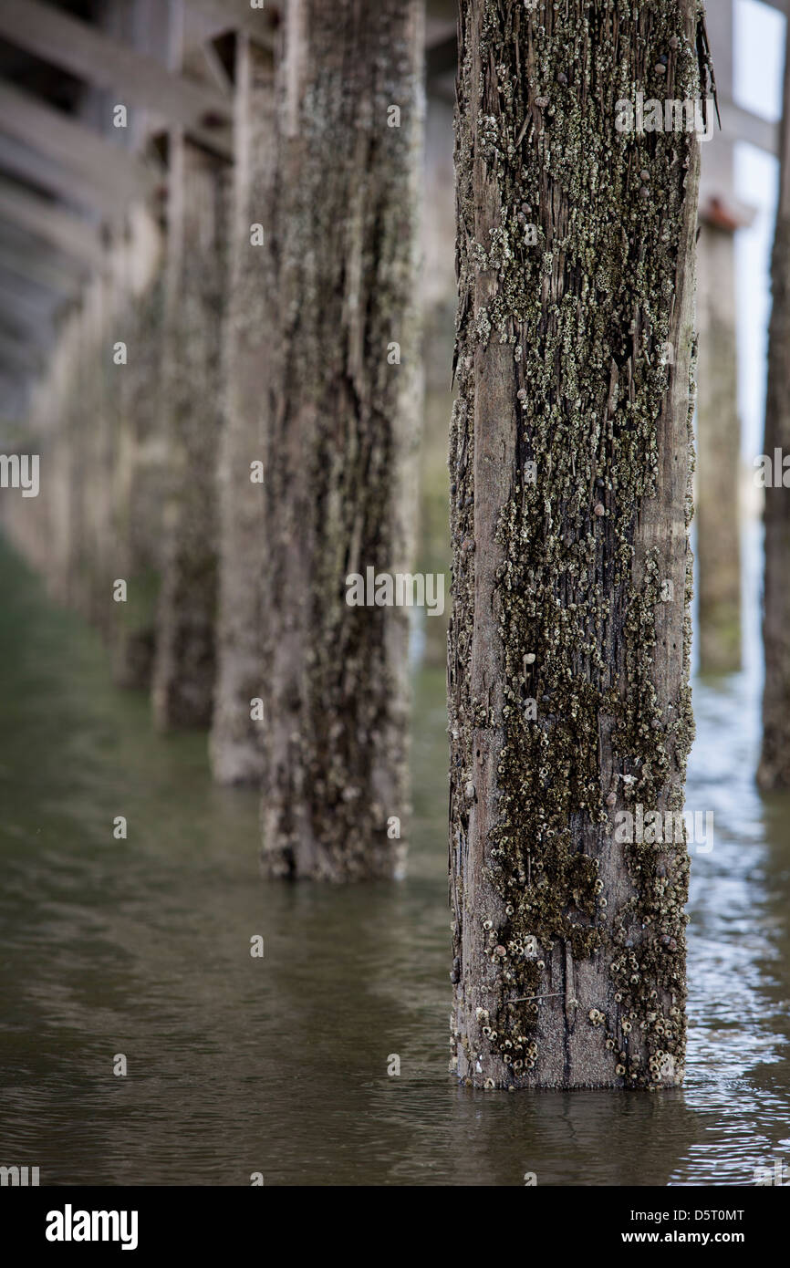 Details of wooden pillars at Powder Point Duxbury Bridge ...