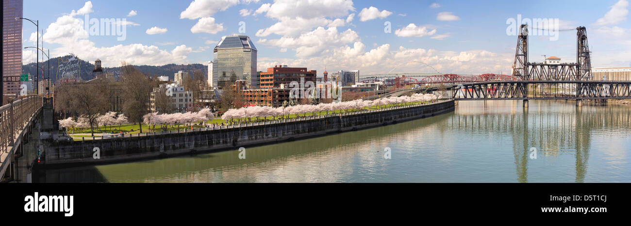 Cherry Blossoms Trees Along Portland Oregon Waterfront Willamette River ...
