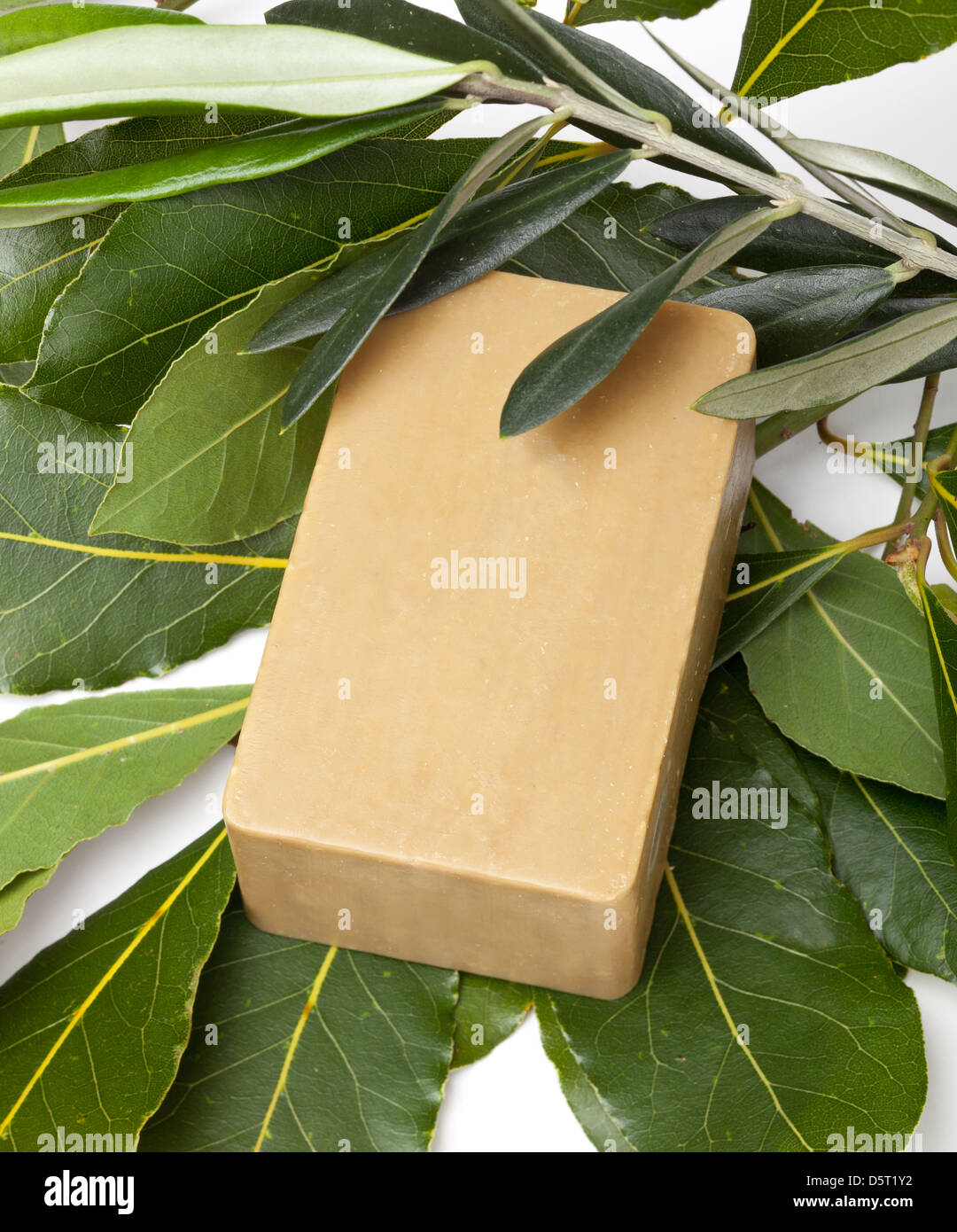 Laurel soap hi-res stock photography and images - Alamy