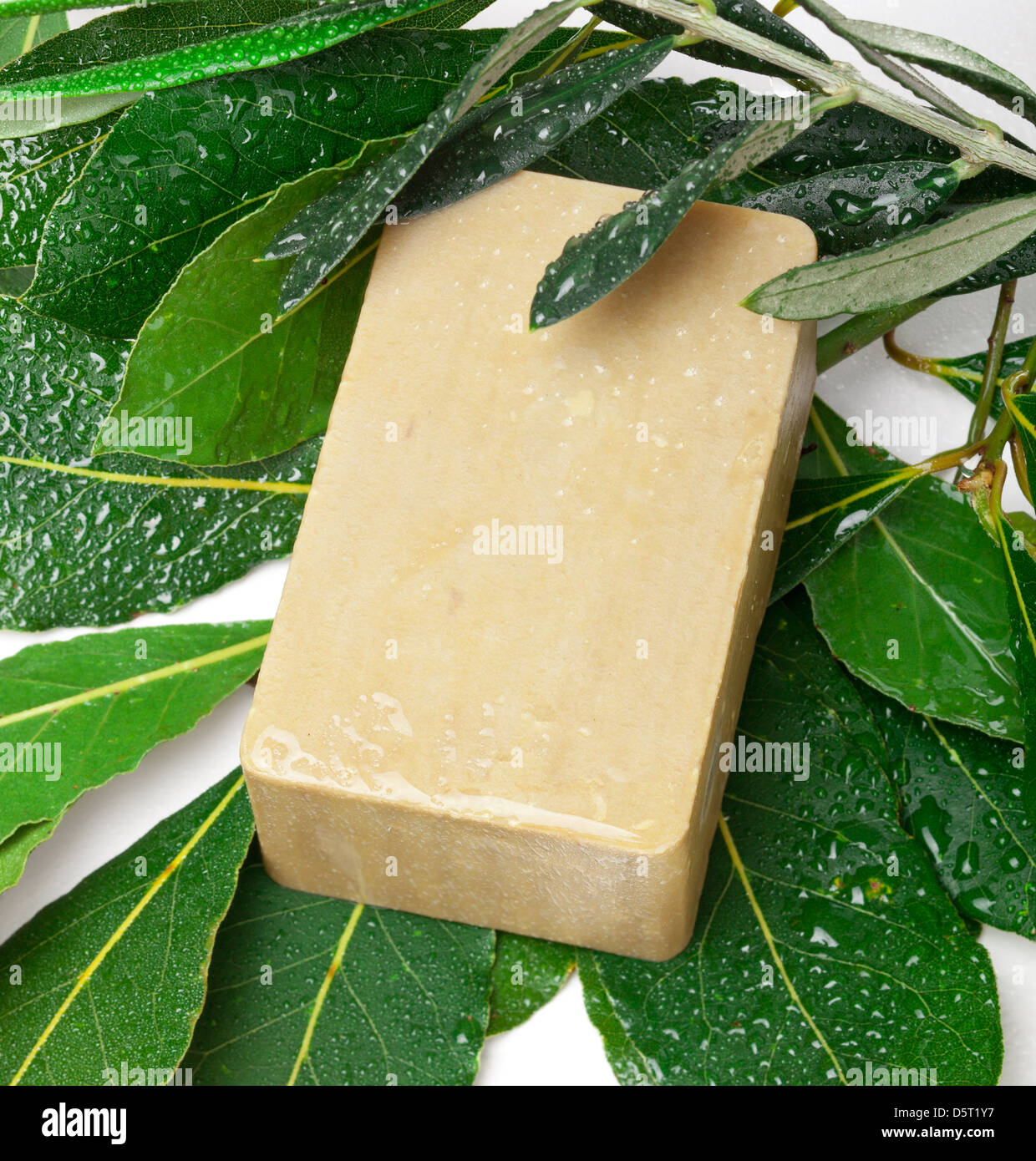 Aleppo soap and laurel on white background Stock Photo - Alamy