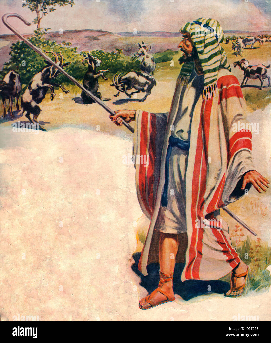 Goat herder with goats acting crazy after eating beans from coffee ...