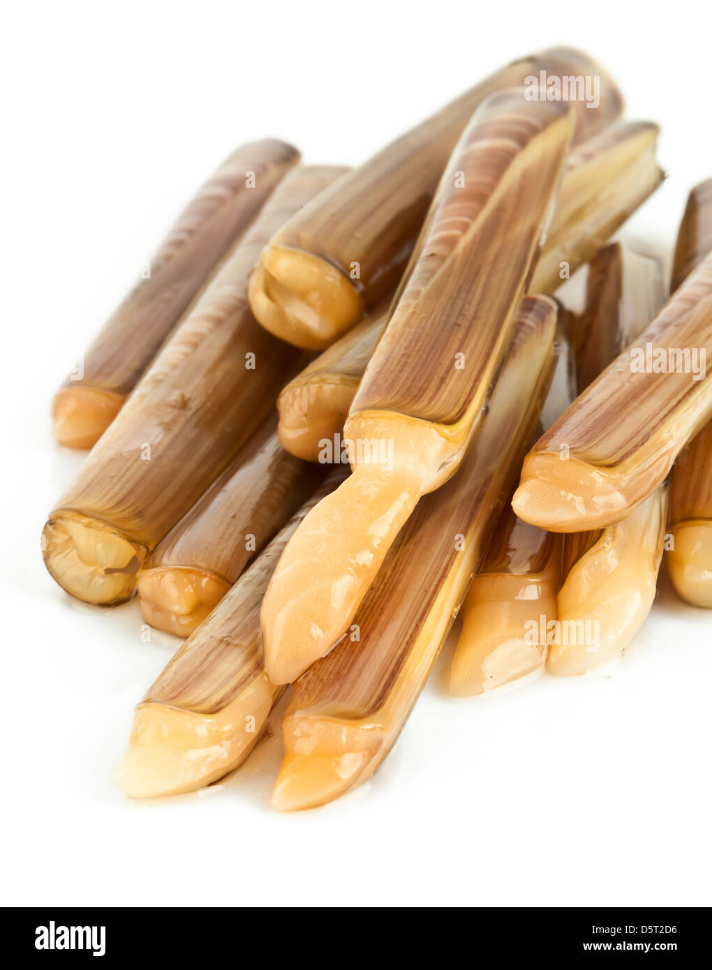 Razor fish hi-res stock photography and images - Alamy