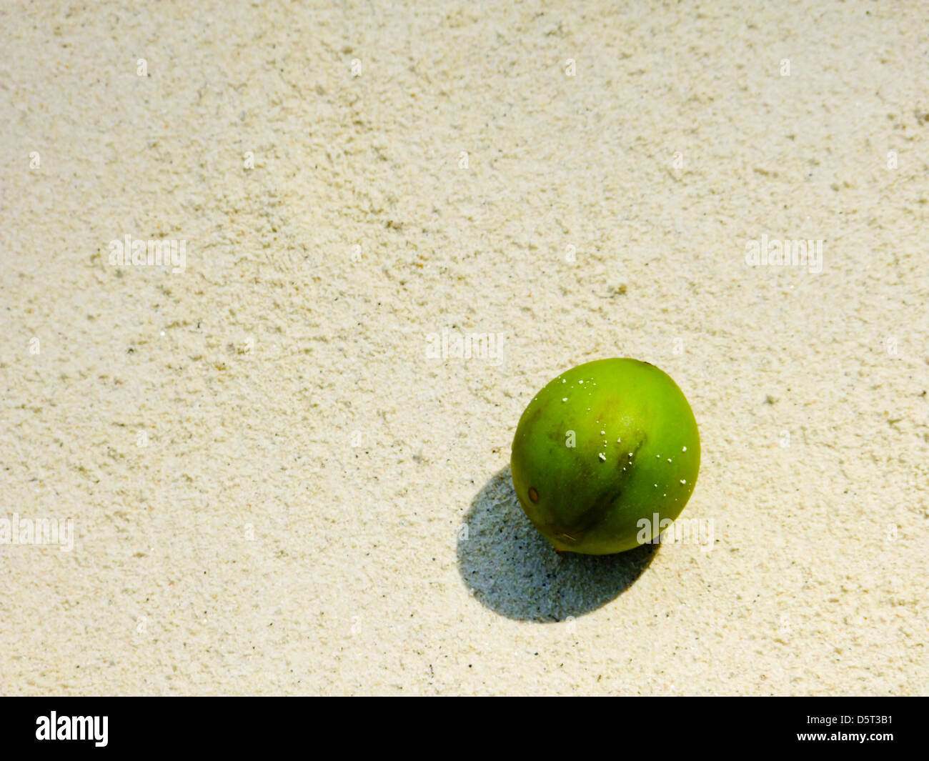 Green coconut on white sand beach Stock Photo - Alamy
