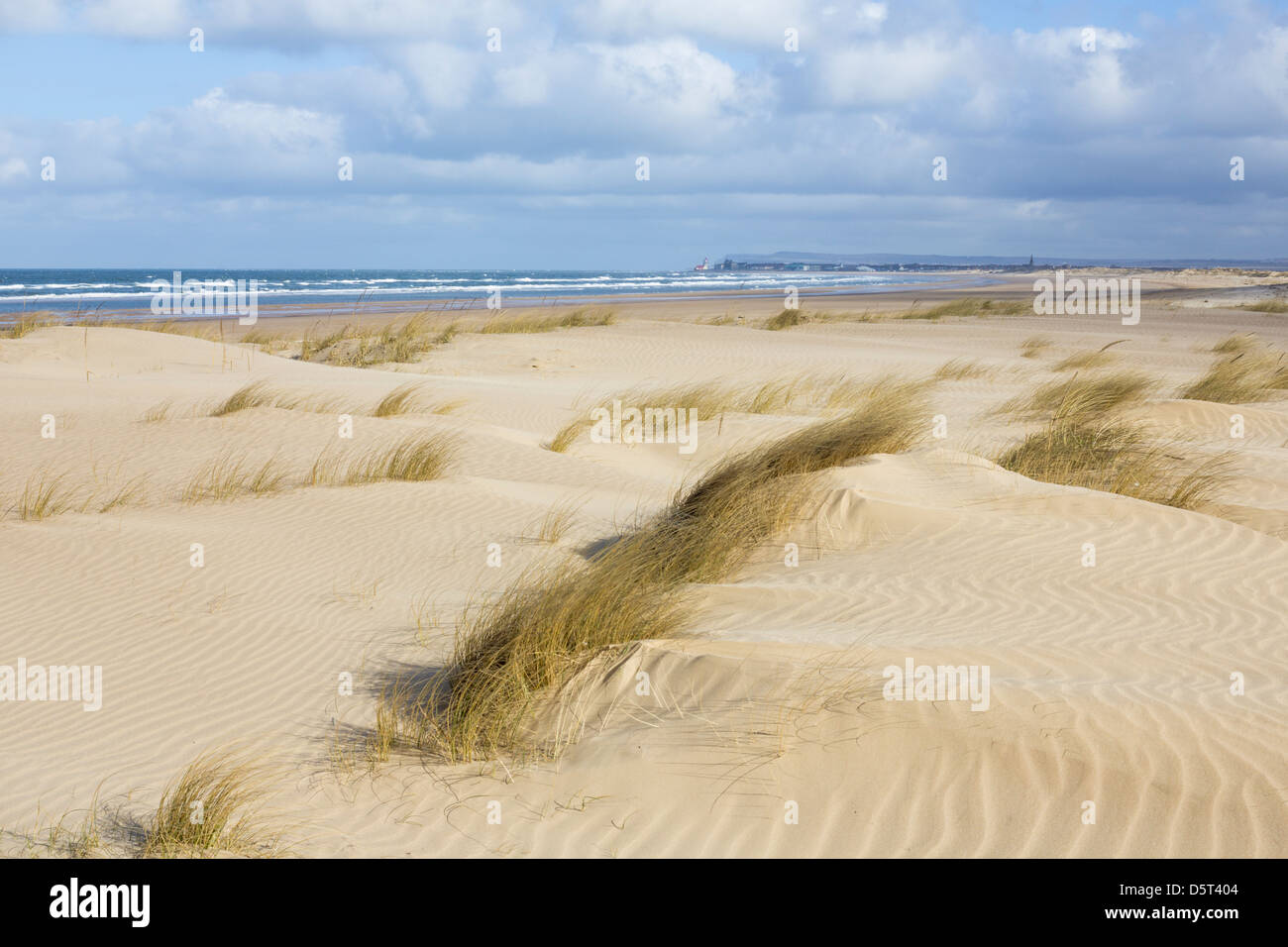 View towards Redcar from sand dunes on Coatham beach. Redcar, Redcar ...