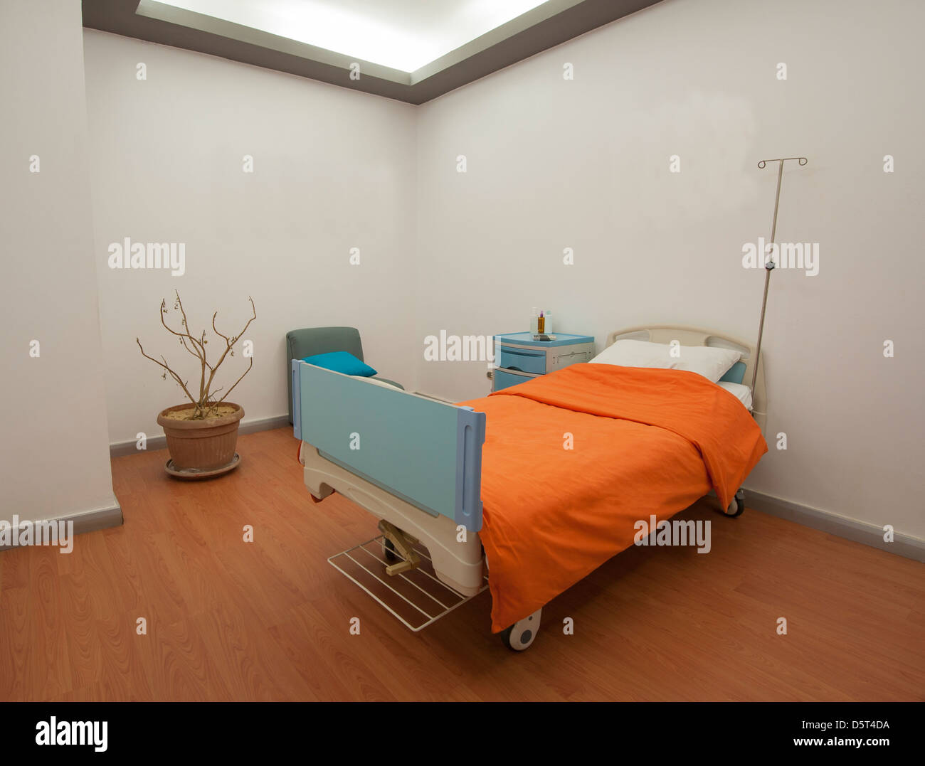 Hospital bed in a private ward ward with a plant Stock Photo - Alamy