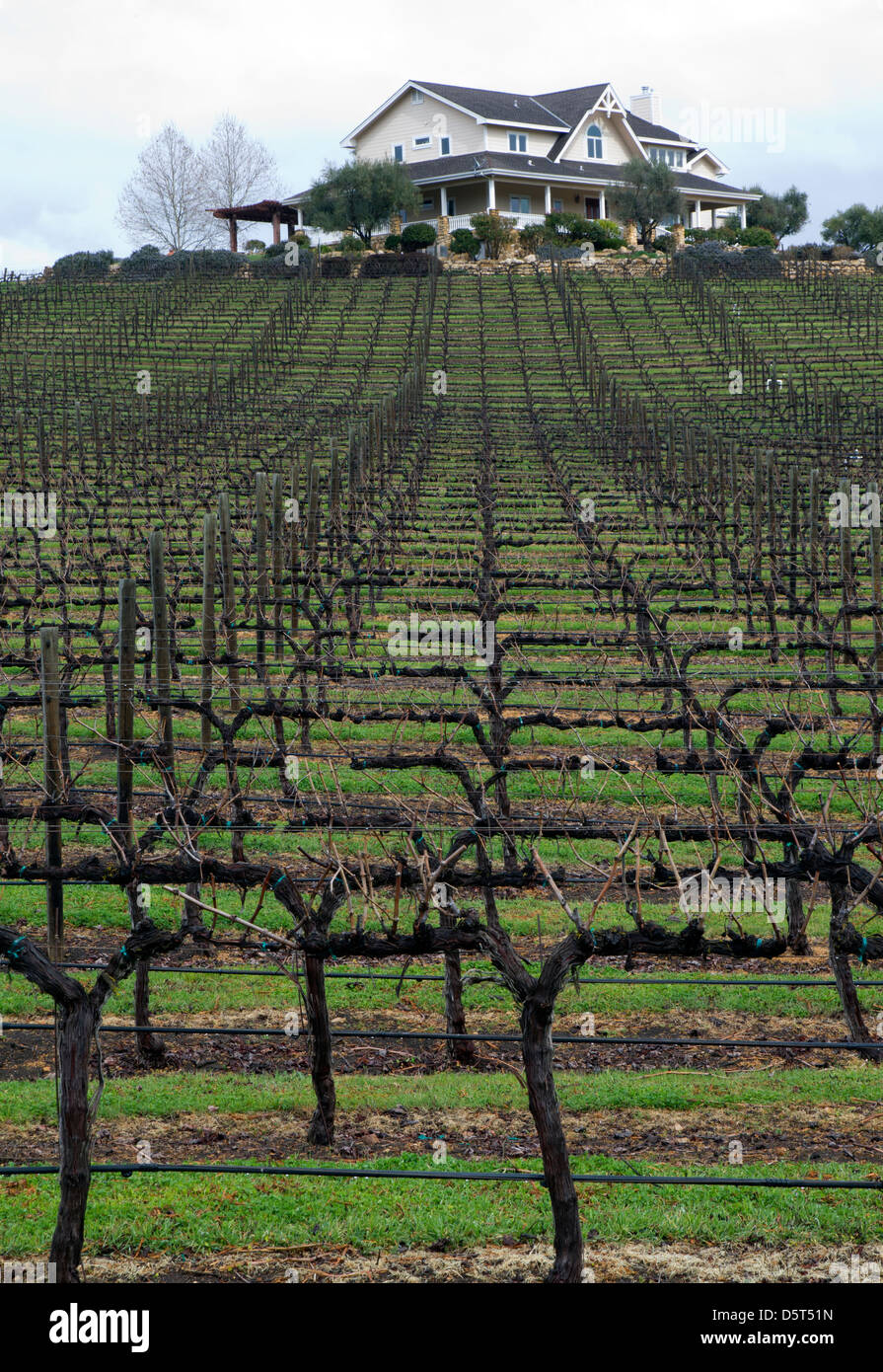 Vineyard home hi-res stock photography and images - Alamy