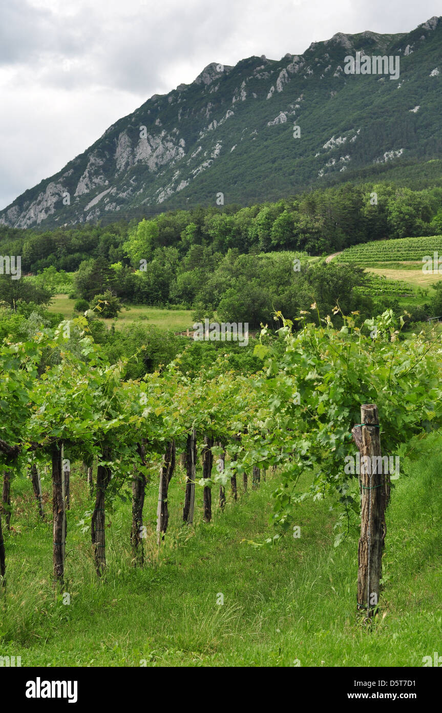 Forested plateau hi-res stock photography and images - Alamy