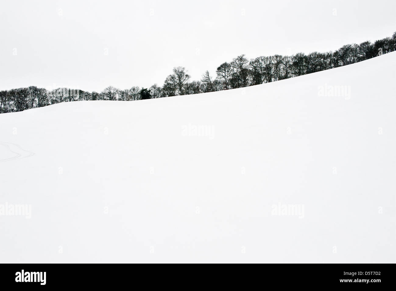 Hillside covered with trees hi-res stock photography and images - Alamy