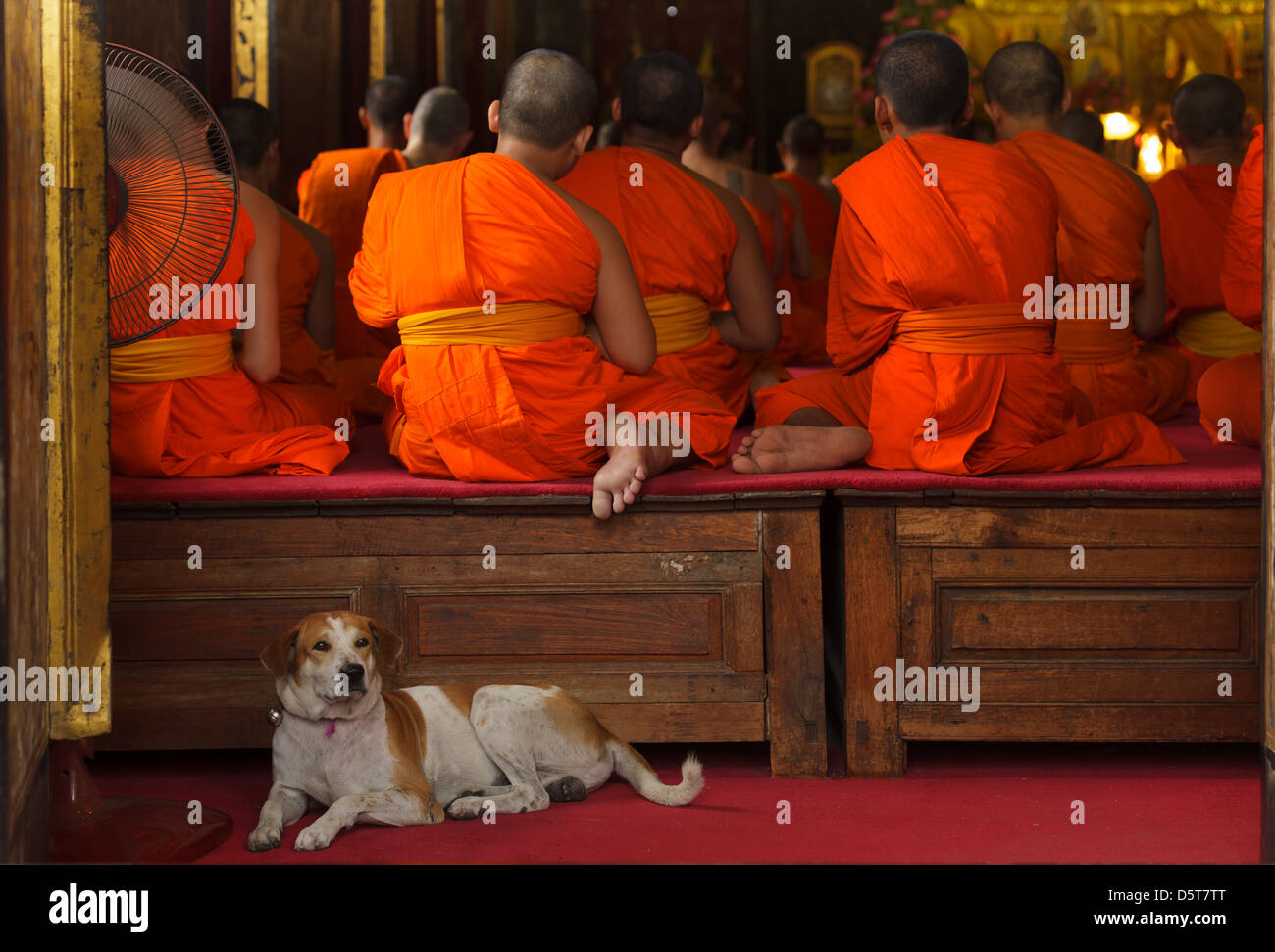 Bangkok buddhist monks praying hi-res stock photography and images - Alamy