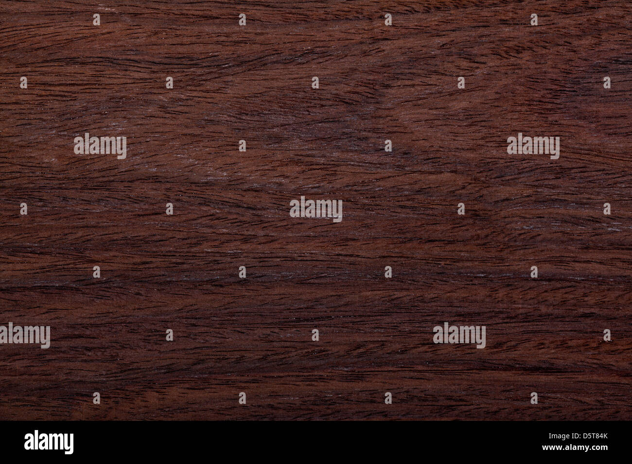 closeup image of natural wood texture Stock Photo - Alamy