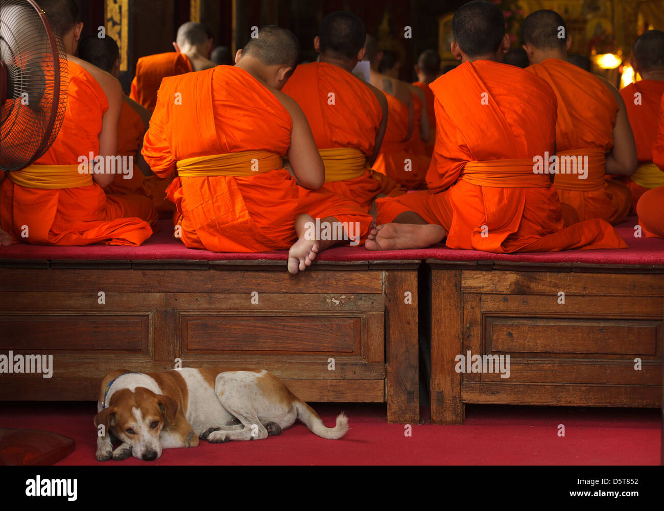 Thai Buddhist monks praying in the temple of Wang Lang district ...