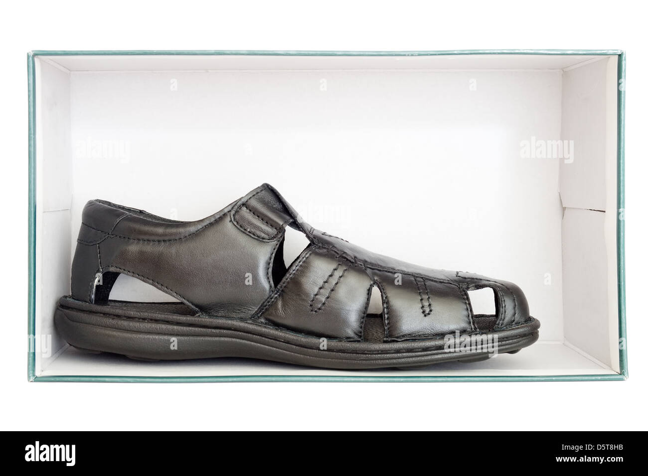 Male brown leather shoe inside a box isolated on white background Stock ...