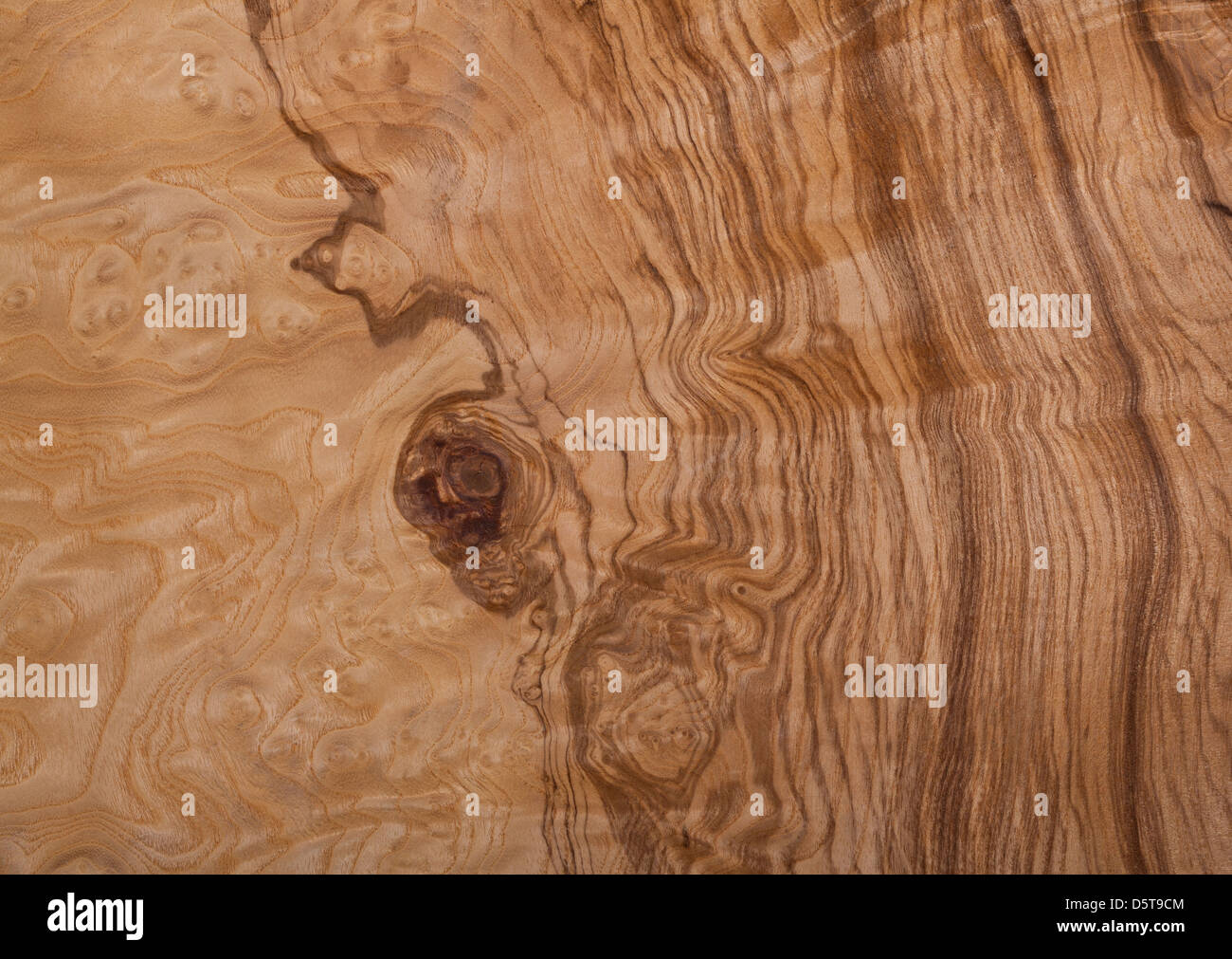 closeup image of natural wood texture Stock Photo - Alamy