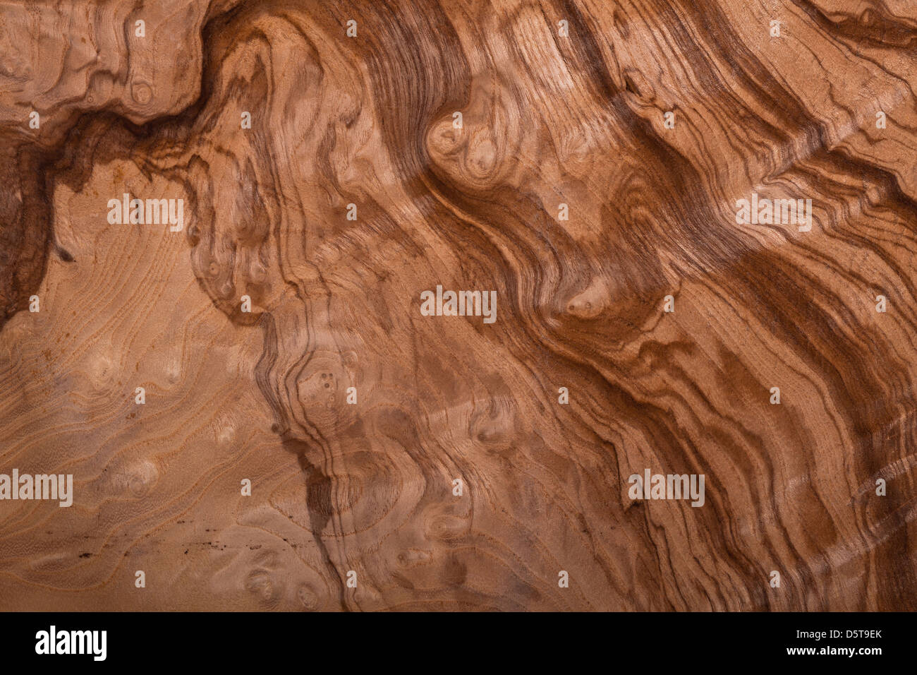 closeup image of natural wood texture Stock Photo - Alamy