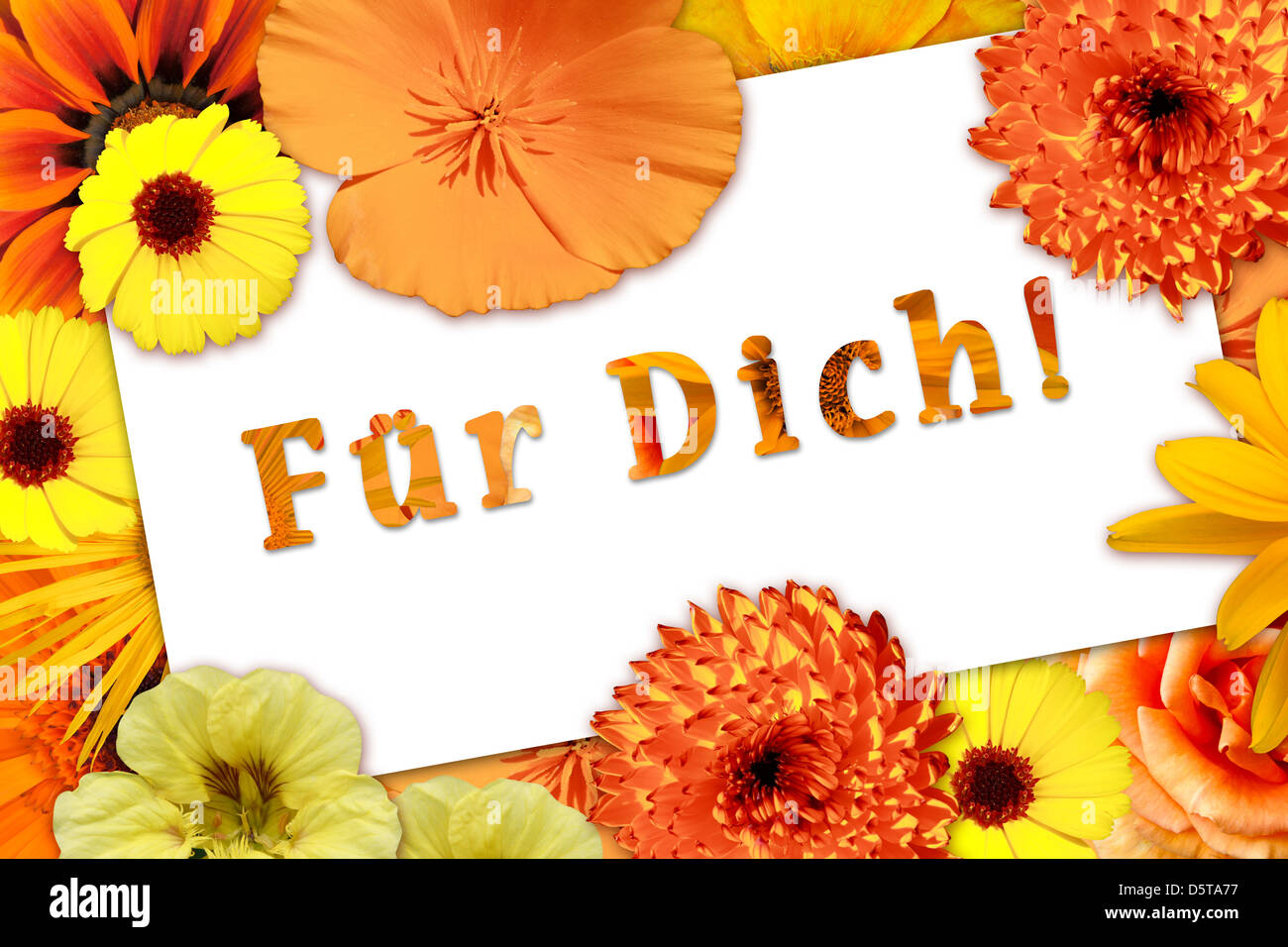 for you card Stock Photo - Alamy