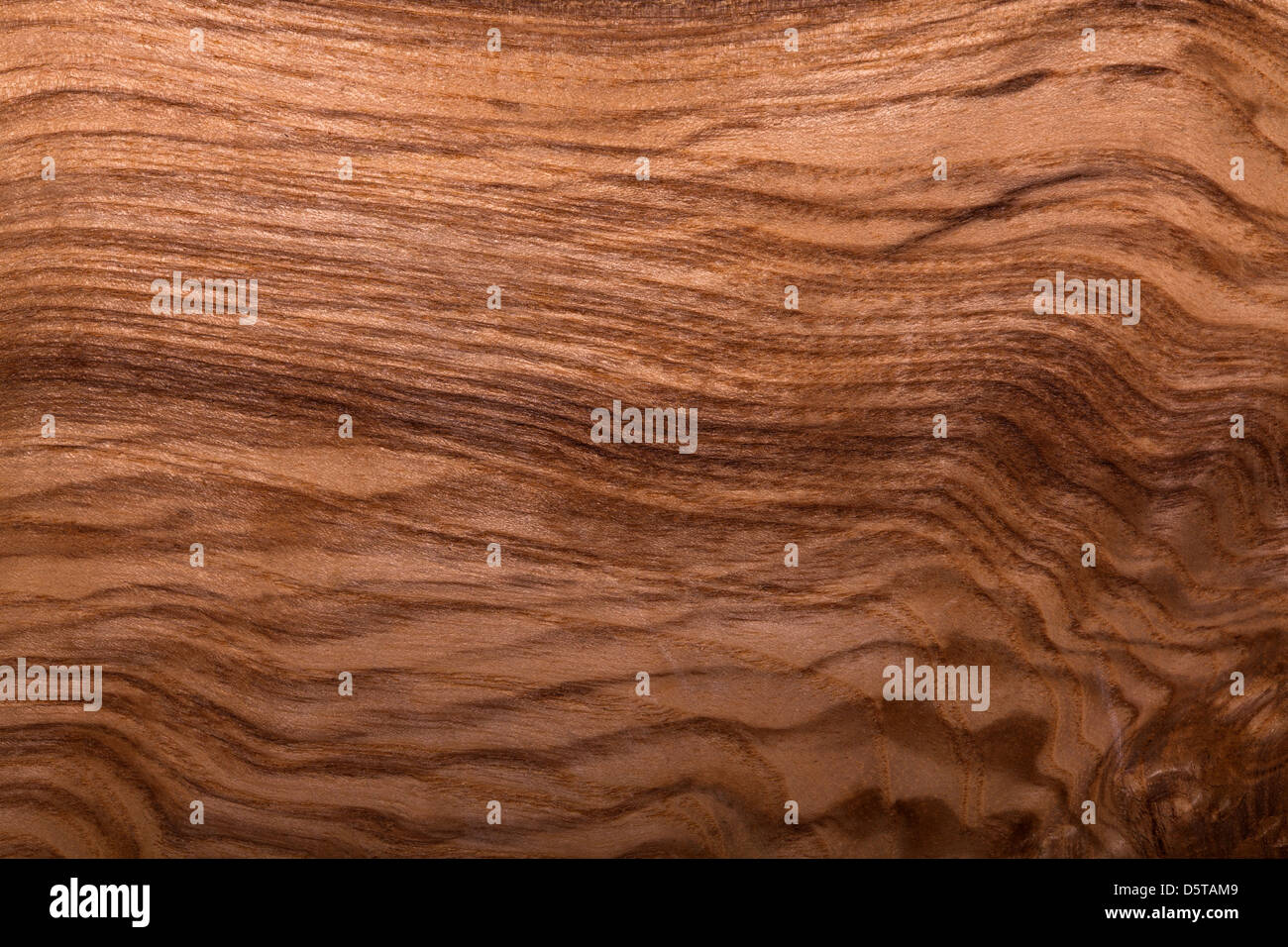 closeup image of natural wood texture Stock Photo - Alamy