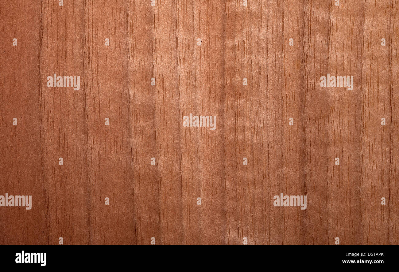 Natural wood texture hi-res stock photography and images - Alamy